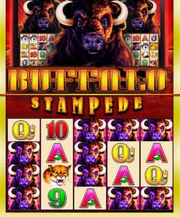 Buffalo Stampede Slot Machine • Play Online From The USA